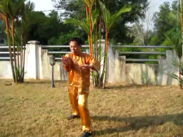 Shaolin Pakua Set 2014 in Pictures