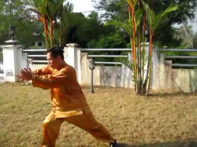 Shaolin Pakua Set 2014 in Pictures