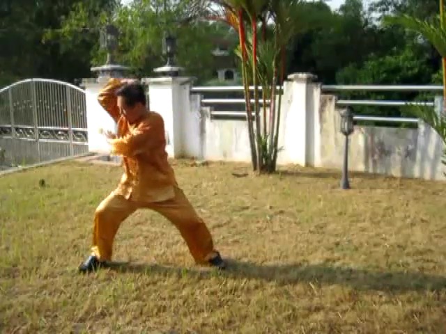 Shaolin Pakua Set 2014 in Pictures