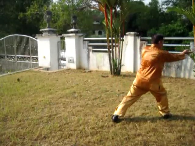 Shaolin Pakua Set 2014 in Pictures